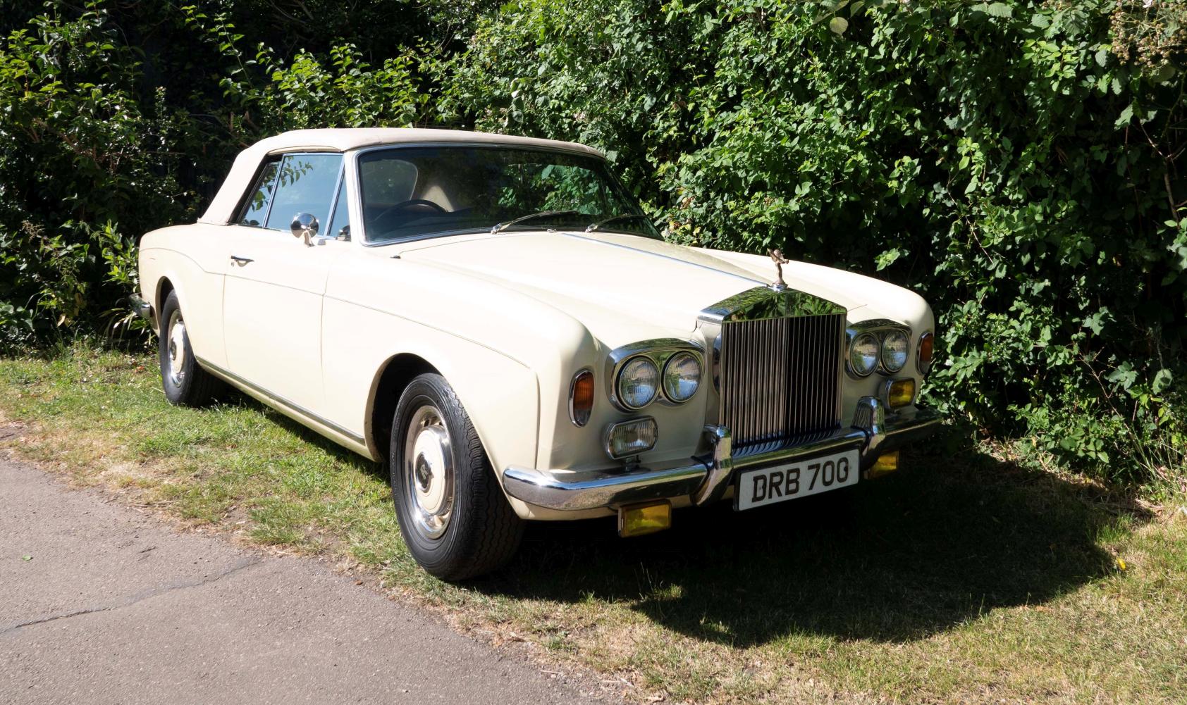 The Eve Clarke Collection