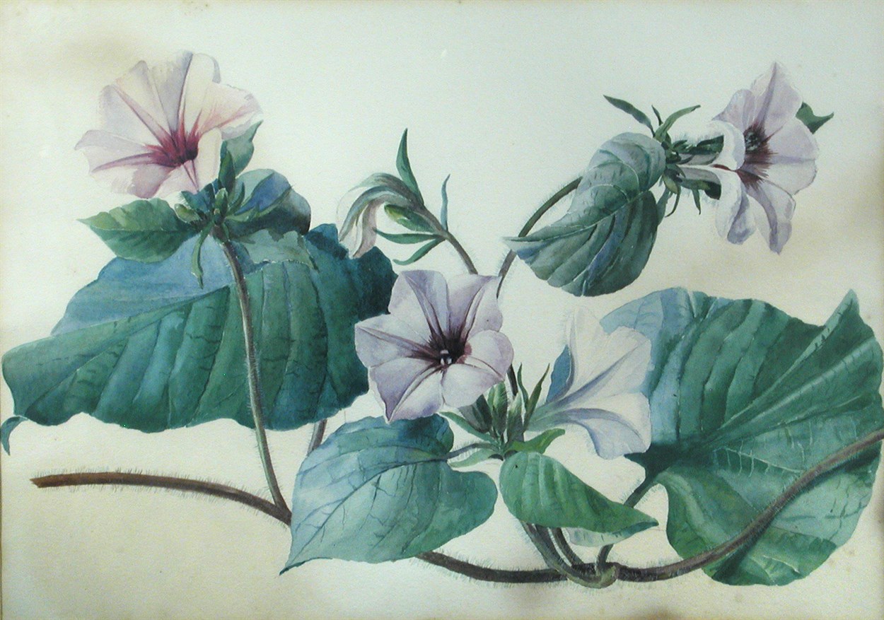 Lot 116 - § Lilian Snelling, MBE (British, 1879-1972),