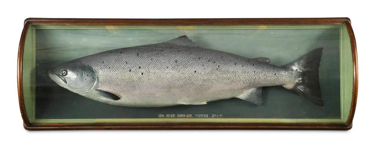 Lot 256 - A plaster cast and painted salmon,
