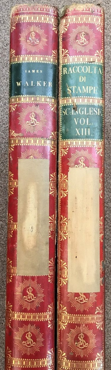 Lot 22 - Two leather covered Solander type print boxes,