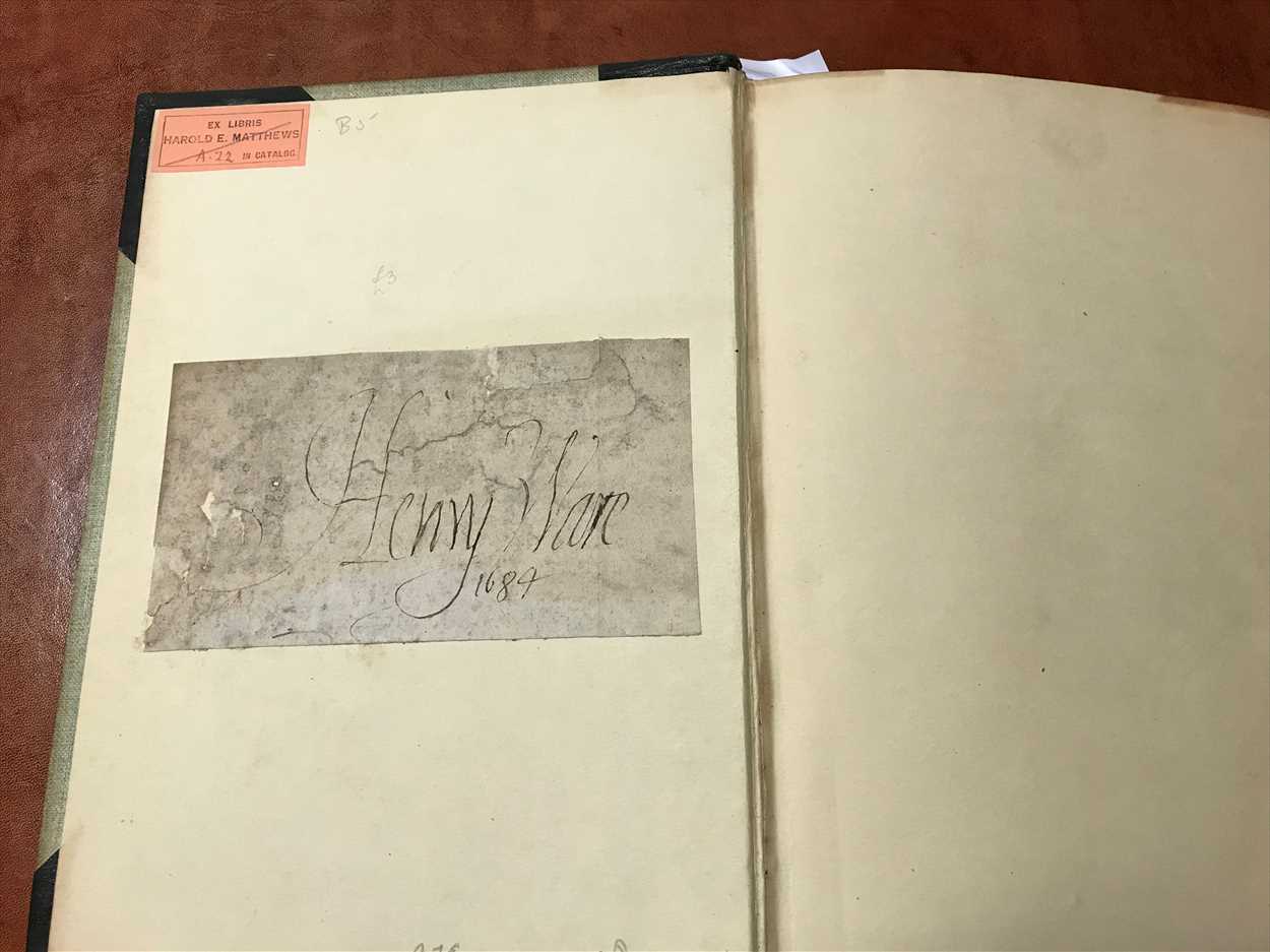 Lot 115 - MAYNE (Jasper)