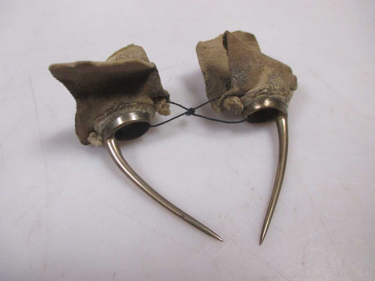Lot 185 - A pair of cock fighting spurs