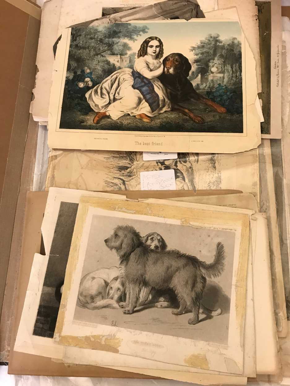 Lot 4 - A mixed collection of loose prints,