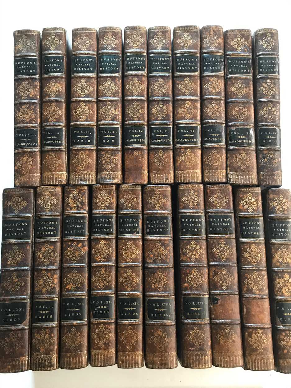 Lot 234 - BUFFON (Count de)