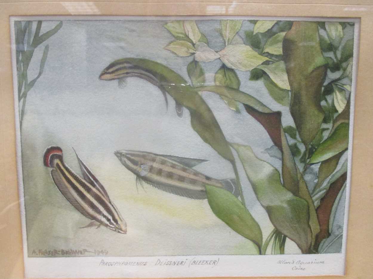 Lot 475 - Alec Fraser-Brunner. A group of watercolours