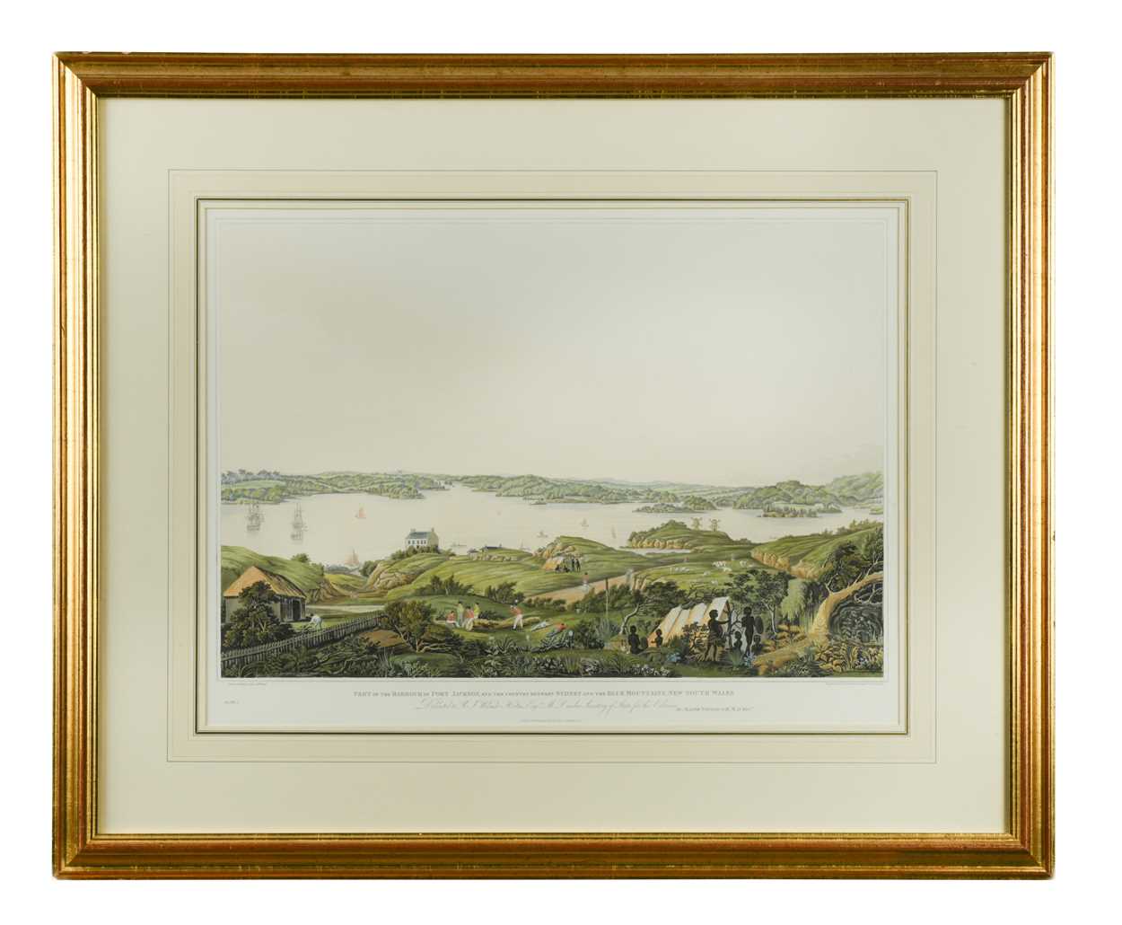 Lot 59 - Robert Havell (British, 1769-1832) after