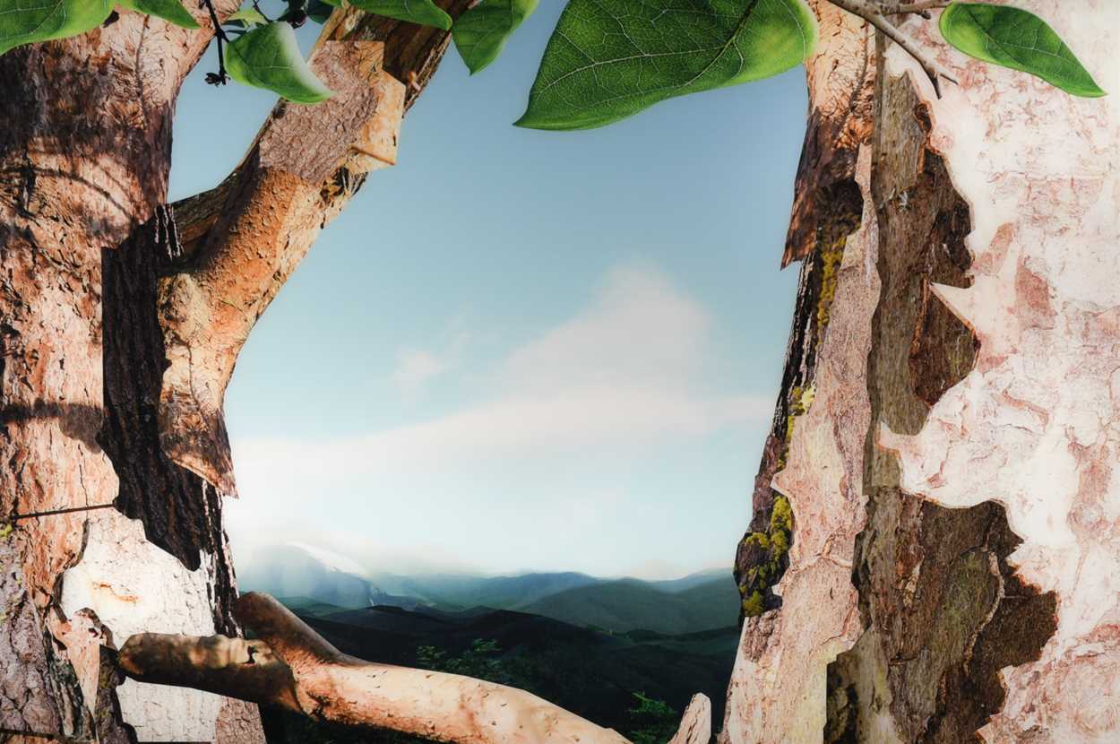 Lot 644 - Boo Ritson (1969-)