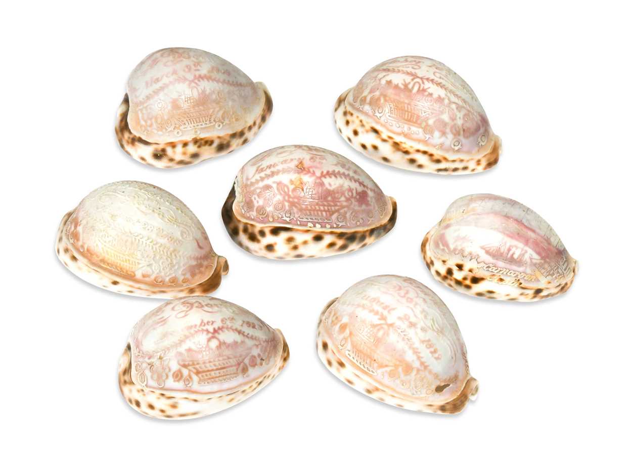 Lot 110 - A collection of carved commemorative Cowrie