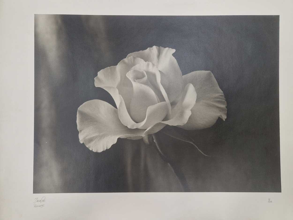 Lot 606 - Bruce Rae (1946-)