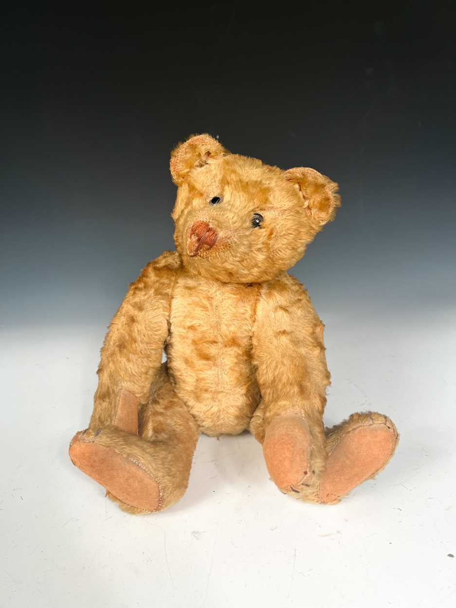 Lot 127 - An early 20th century teddy bear, manner of