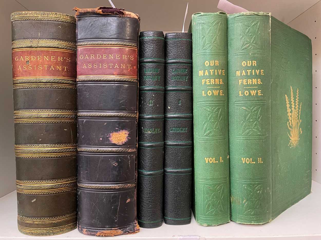 Lot 292 - Botany. PERRIN (Mrs Henry) and Professor