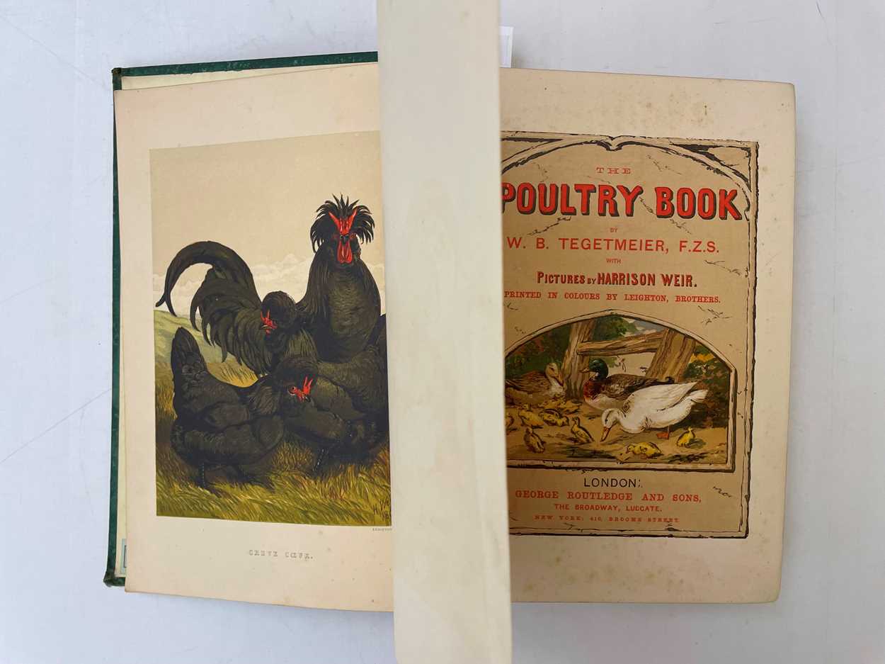 Lot 332 - TEGETMEIER (W B)