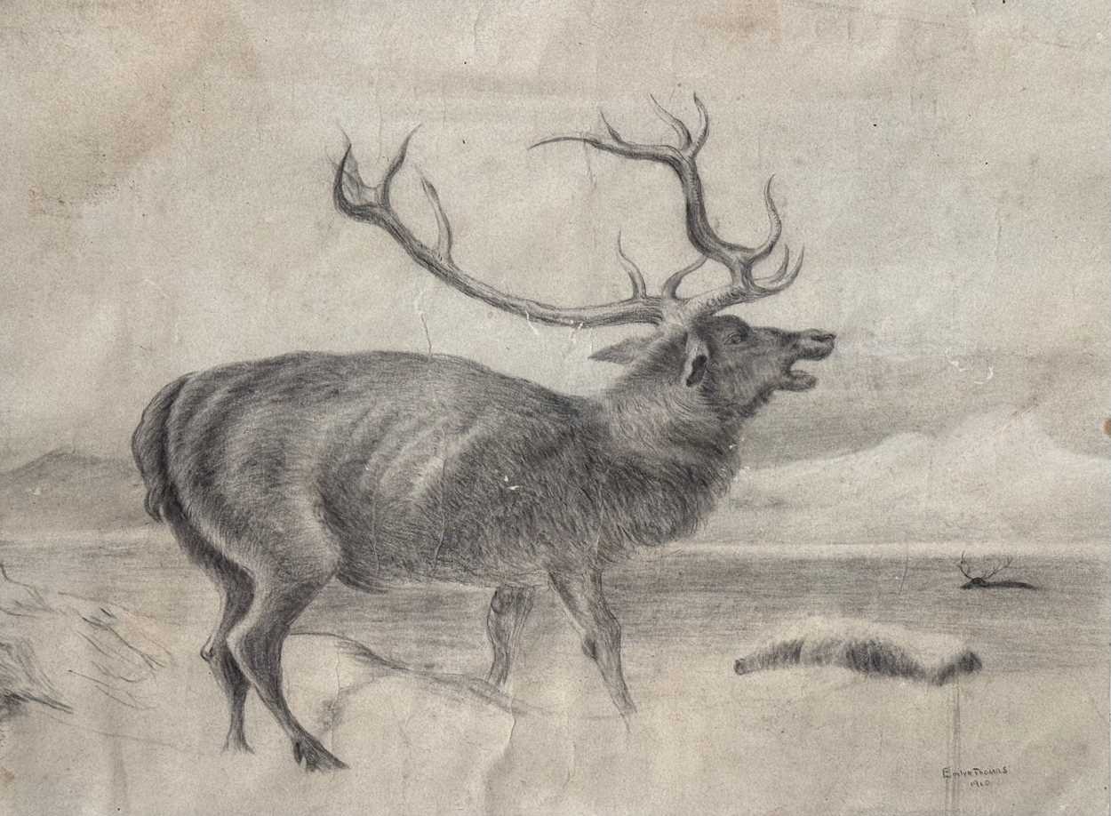 Lot 536 - Stag at Bay, charcoal and pencil on paper