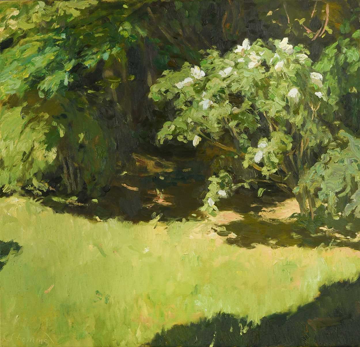 Lot 430 - Martin Stommel (1969-)